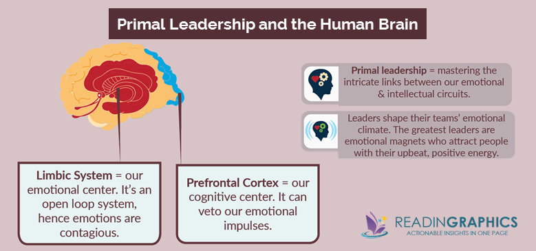 Book Summary - Primal Leadership (Goleman, Boyatzis & McKee)