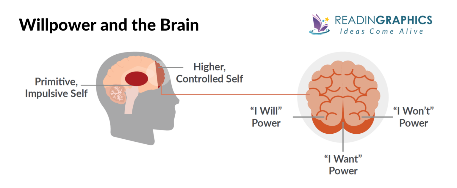 Book Summary - The Willpower Instinct (Kelly McGonigal)