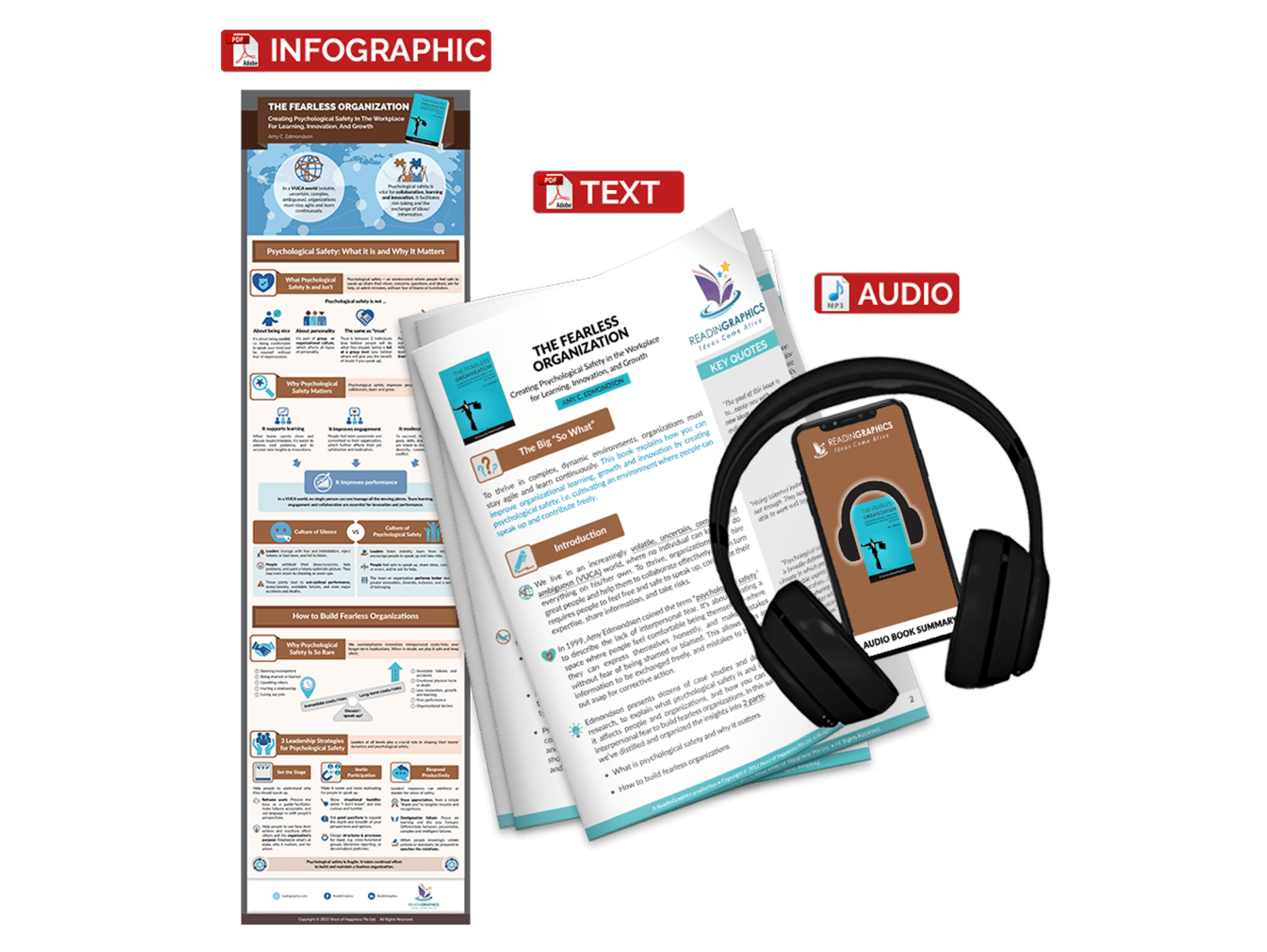 Book Summary - The Fearless Organization (Amy Edmondson)