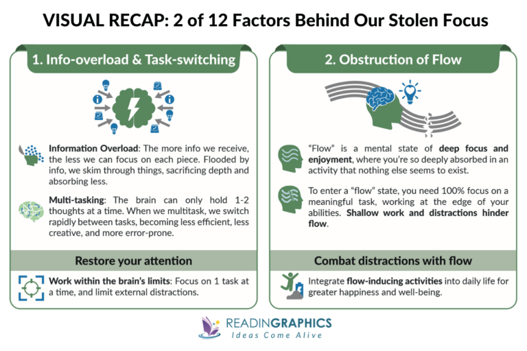 Book Summary - Stolen Focus (Johann Hari)