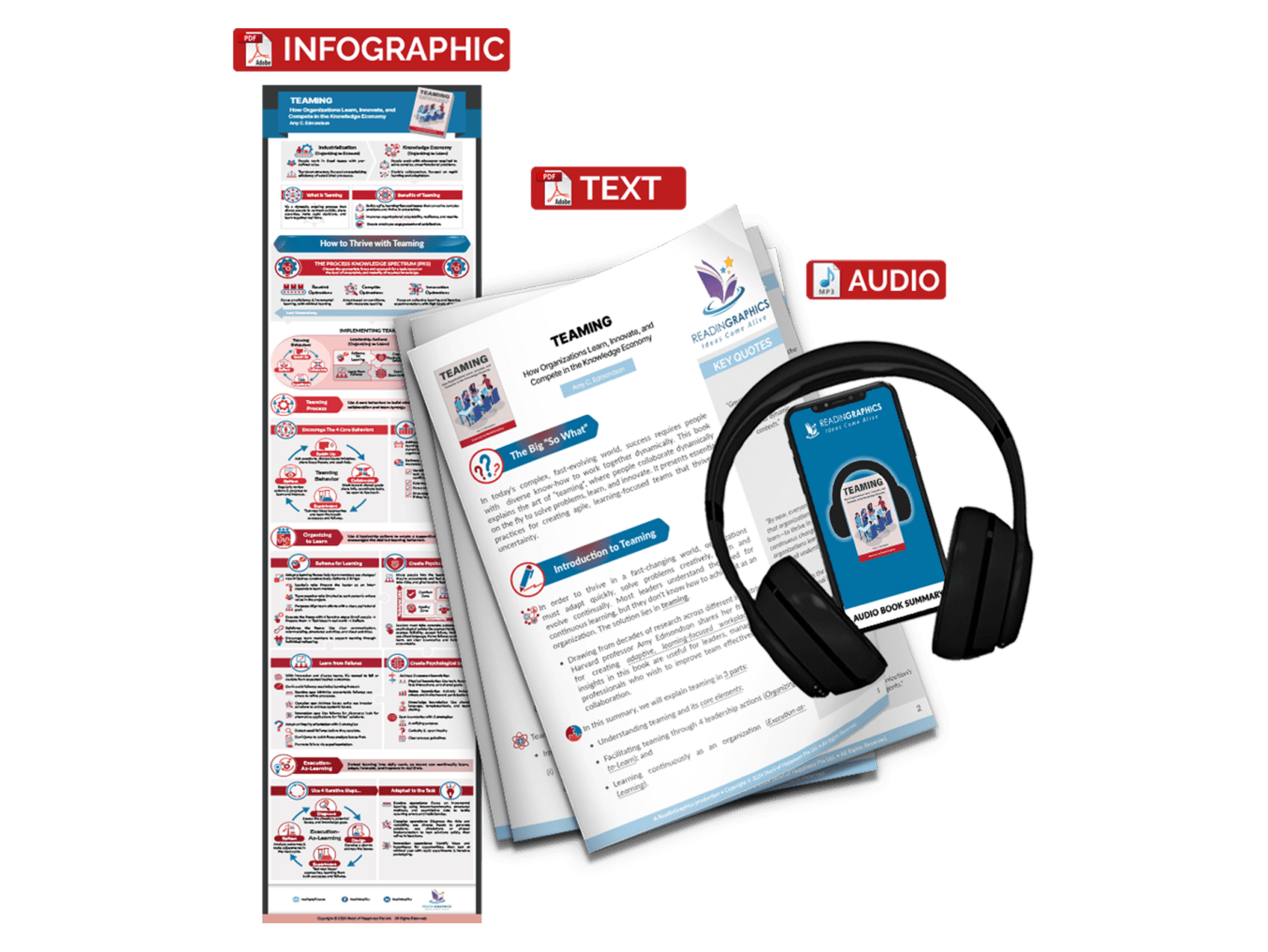 Book Summary - Teaming